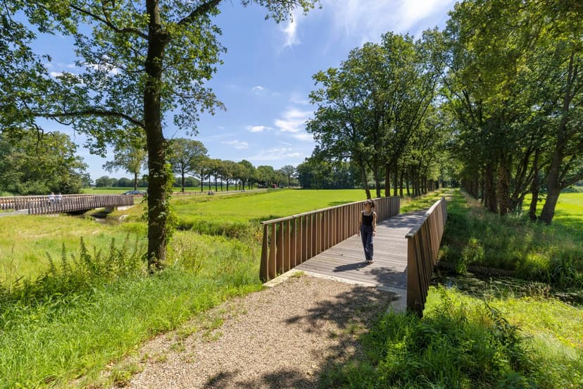 Inspraak voorgestelde wijzigingen Omgevingsverordening start