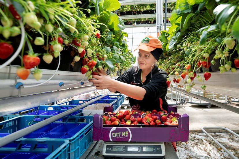 Huisvesten van arbeidsmigranten