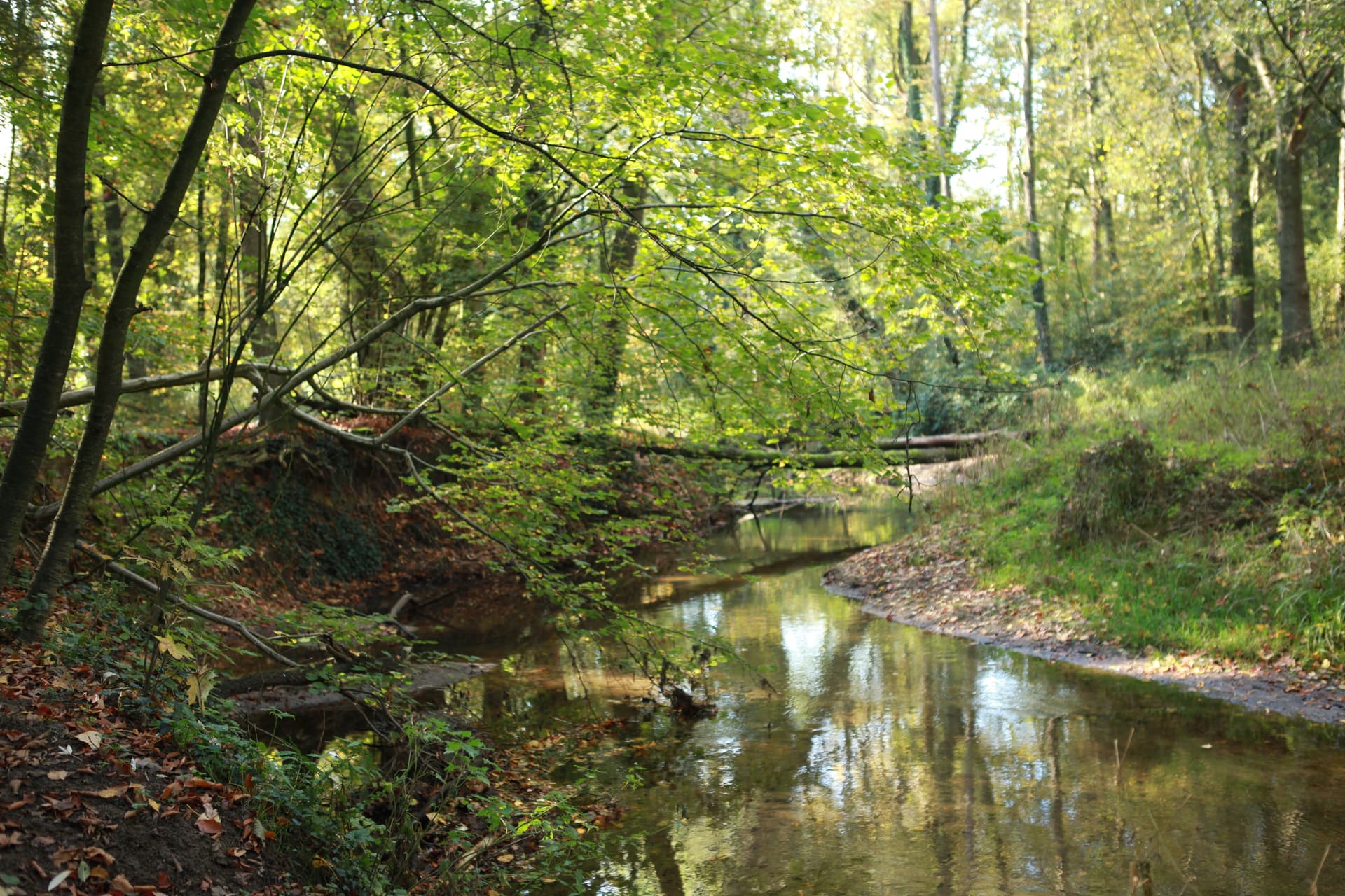 Bekendelle: een Natura 2000-gebied bij Winterswijk