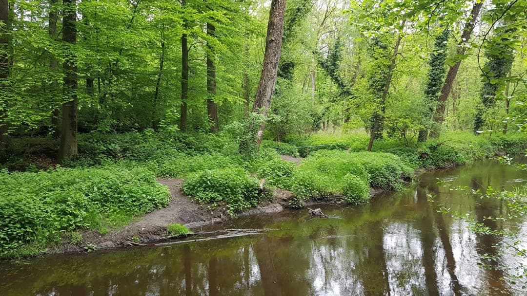 Bekendelle: een Natura 2000-gebied bij Winterswijk