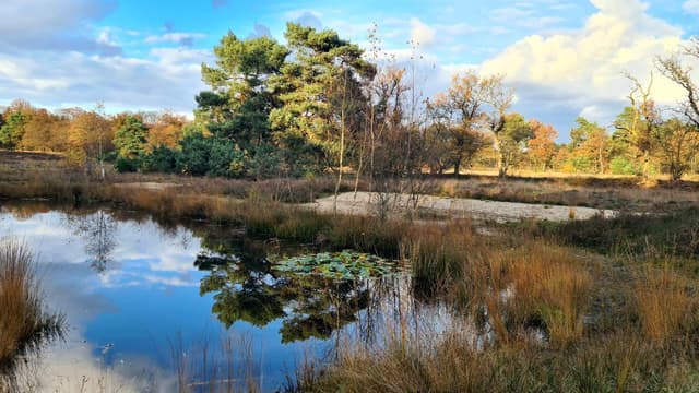 Aanpak Veluwe: samen voor een leefbare Veluwe