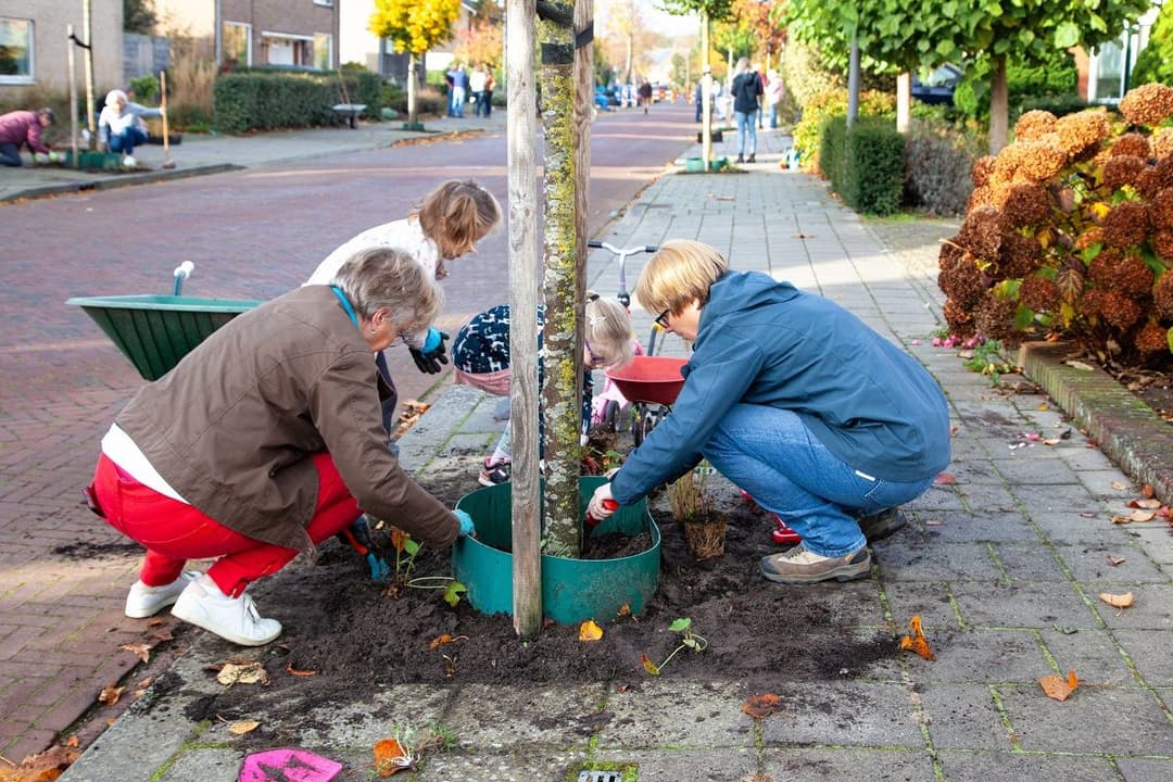 Groene steden en dorpen