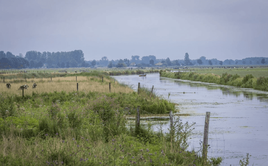 Conceptplan voor het landelijk gebied klaar